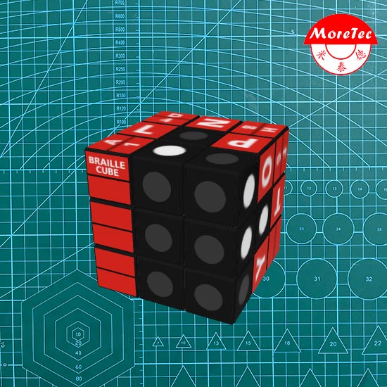 Custom Braille Cube